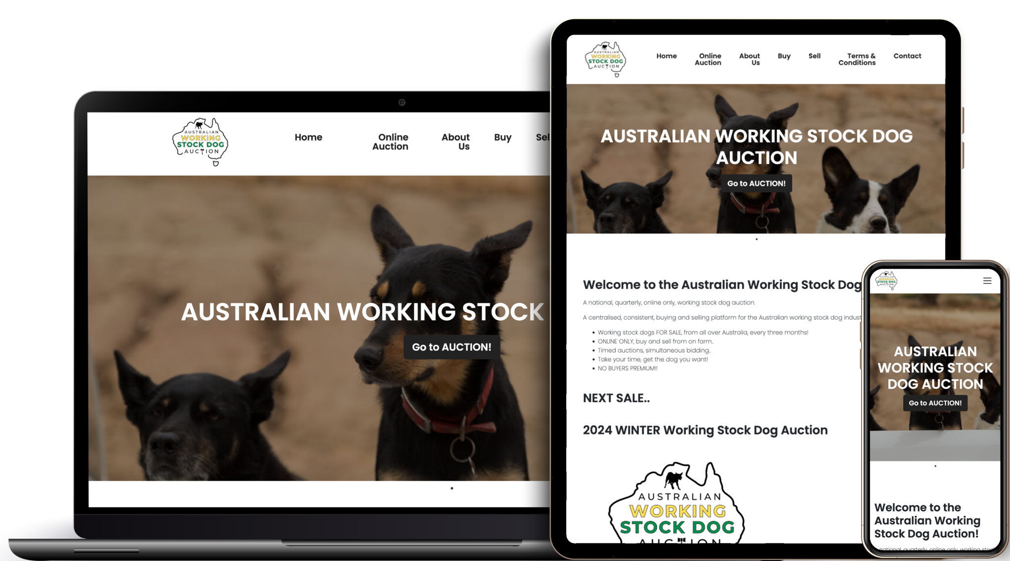 Australian Working Stock Dog Auction - Webtron